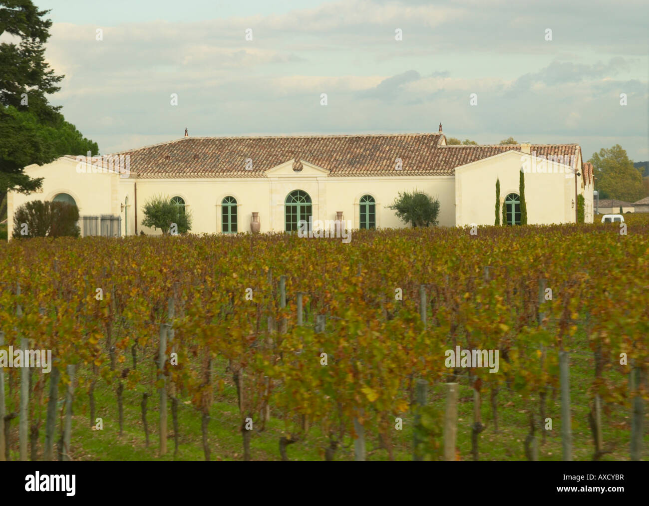 Chateau petrus pomerol hi-res stock photography and images - Alamy