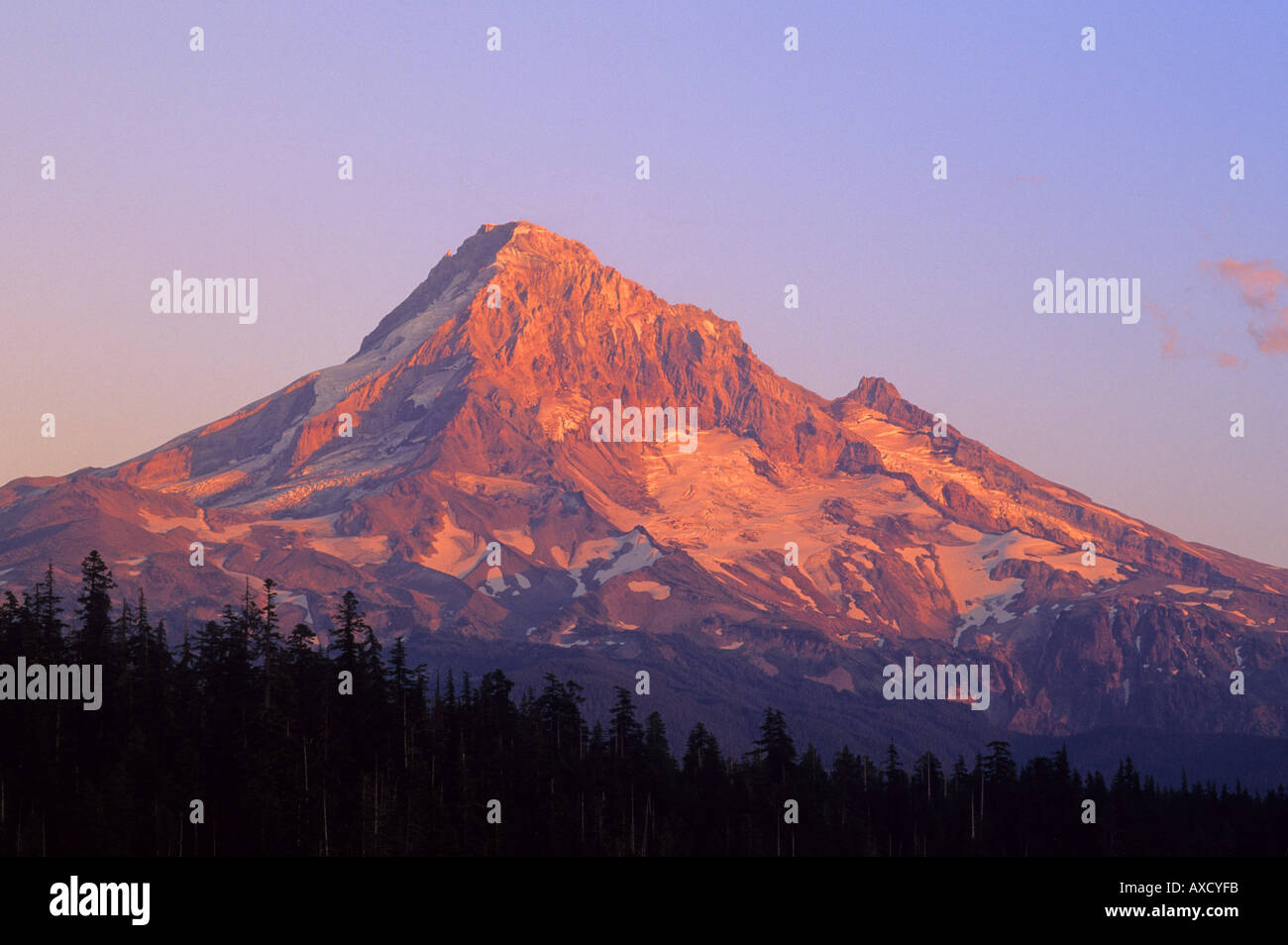 Sunset colors the western face of Mount Hood in Mount Hood National ...