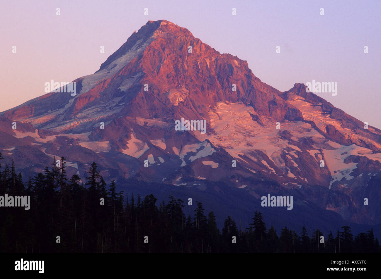 Sunset colors the western face of Mount Hood in Mount Hood National ...