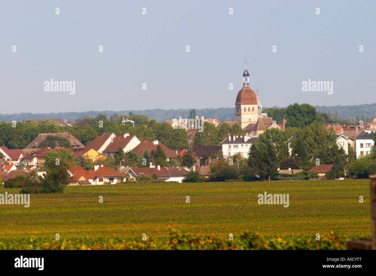 Vineyard. View over Beaune town. Beaune, Cote d'Or, Burgundy, France ...