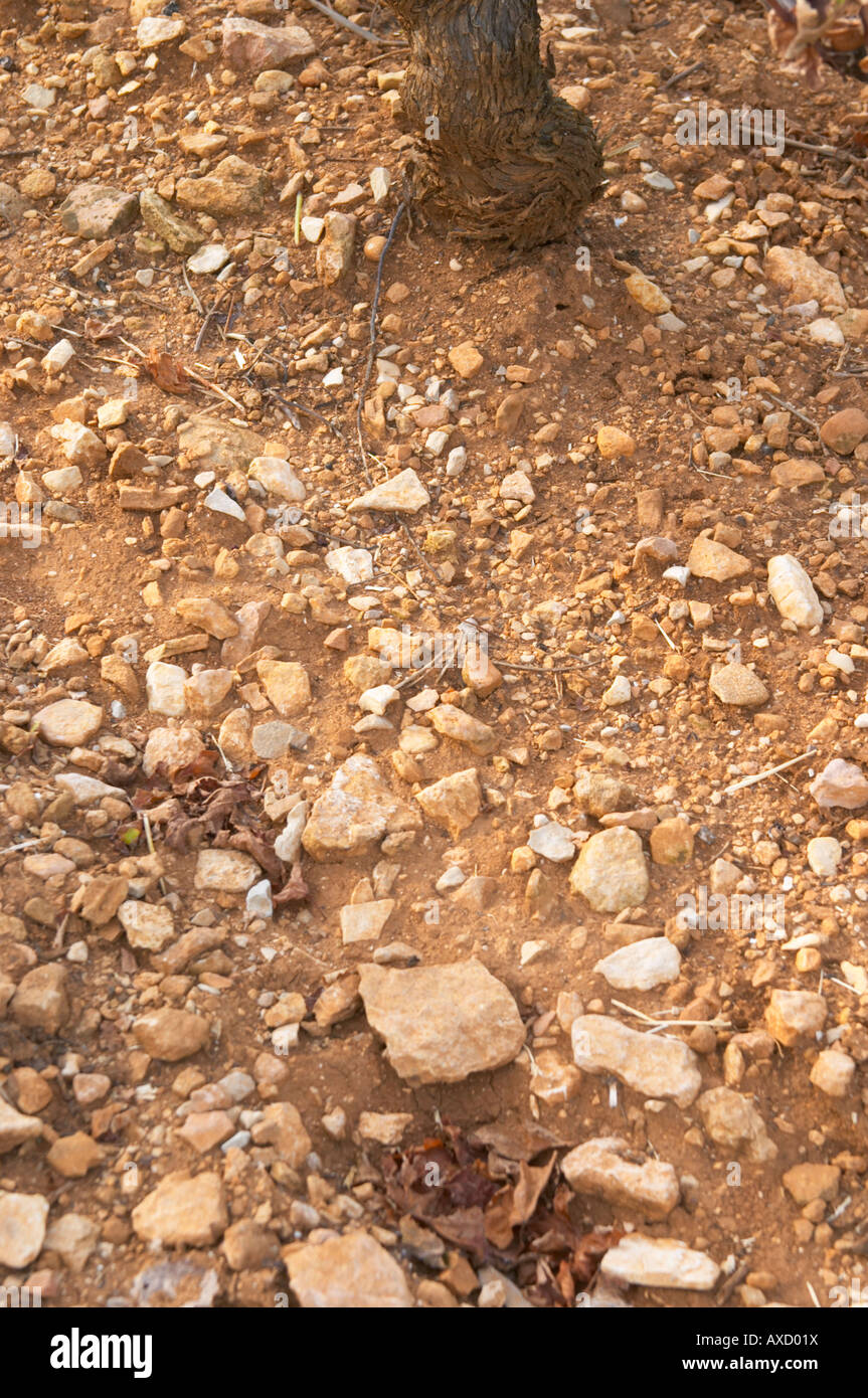 Soil detail. Stony. Sand. Calcareous. Rugiens sector. Pommard, Cote de ...