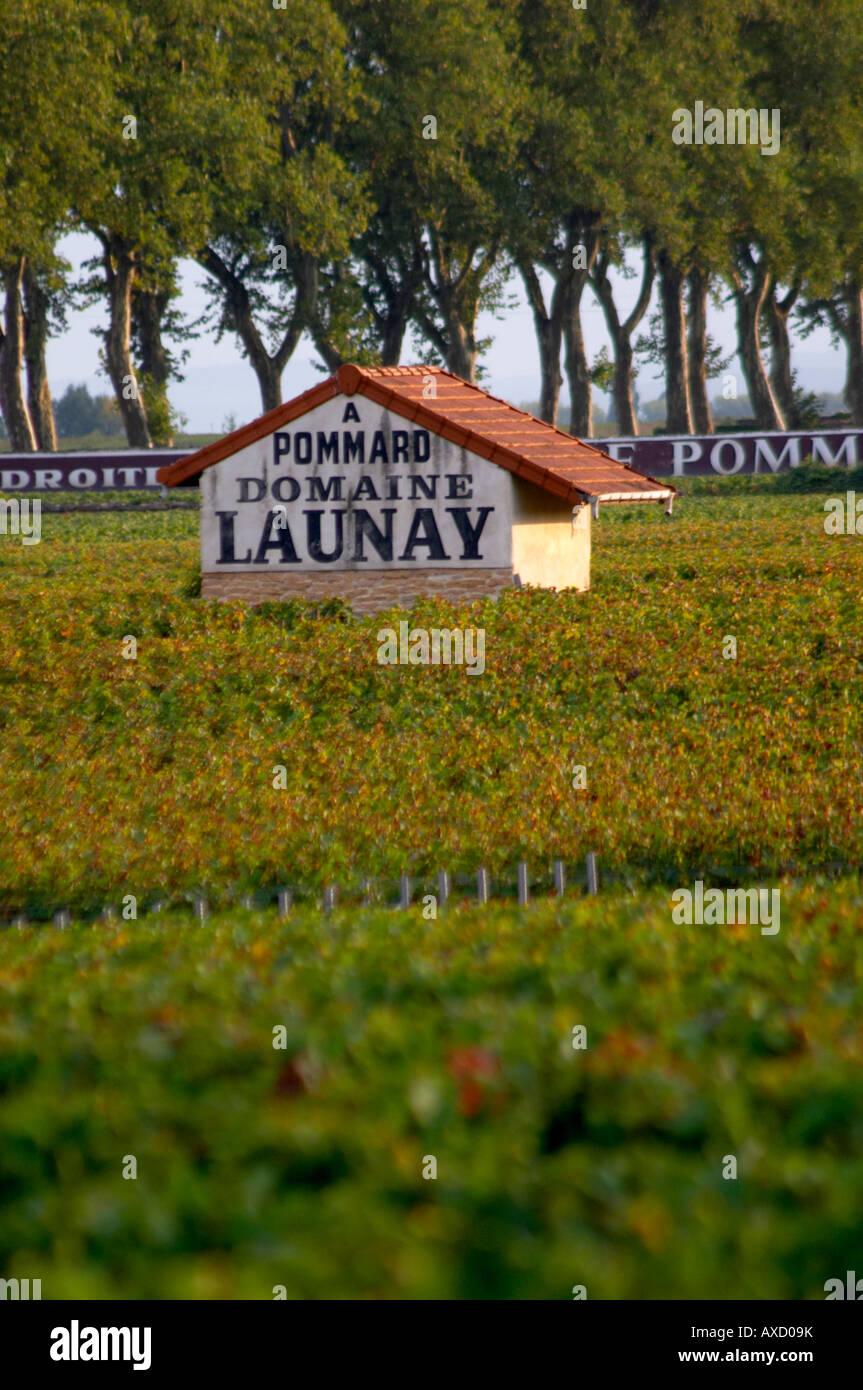 Vineyard. Domaine Launay. Pommard, Cote de Beaune, d'Or, Burgundy ...