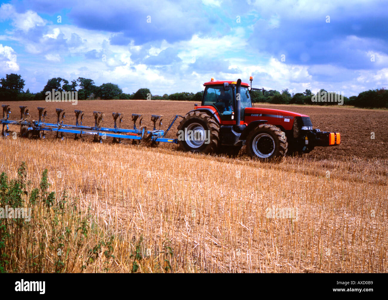 Wheat fields in summer hi-res stock photography and images - Alamy