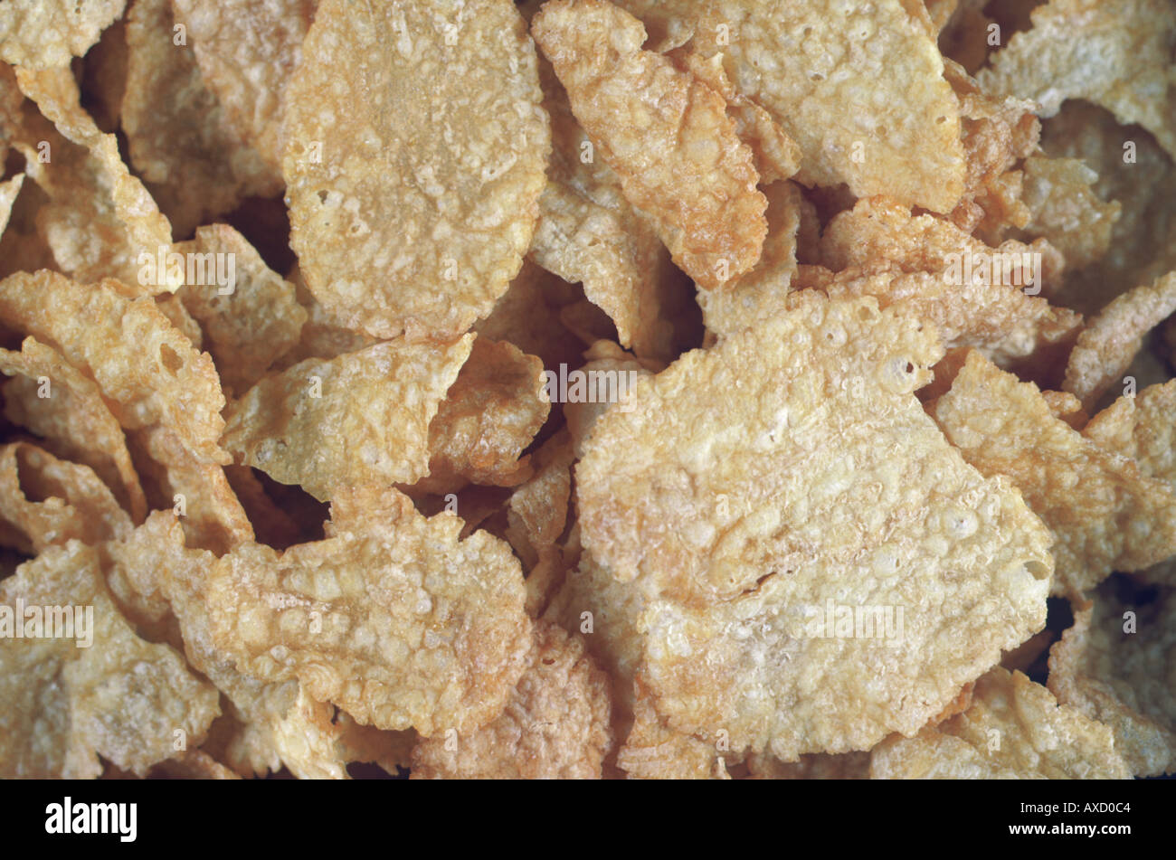 Corn Flakes Close Up Stock Photo - Alamy