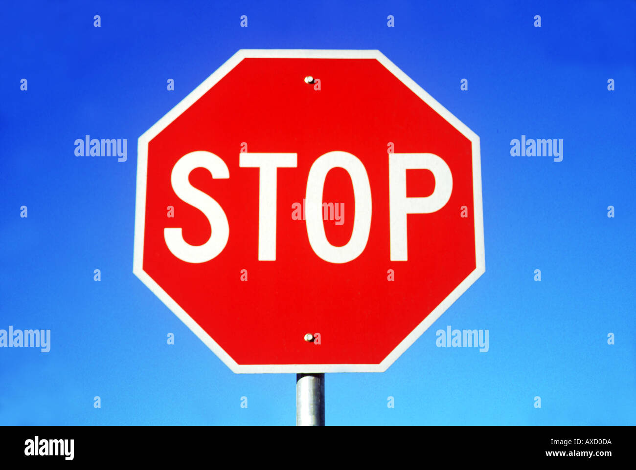Close Up of Stop Sign Stock Photo - Alamy
