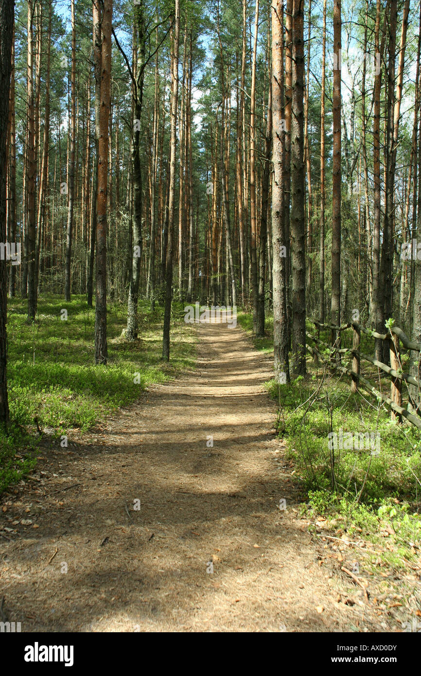 Roztocze National Park in Zwierzyniec Poland Stock Photo - Alamy