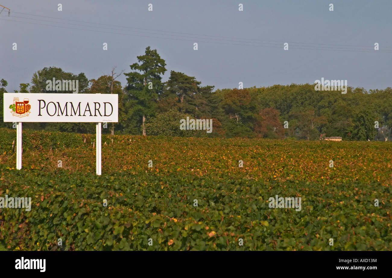 6279 High Resolution Stock Photography and Images - Alamy