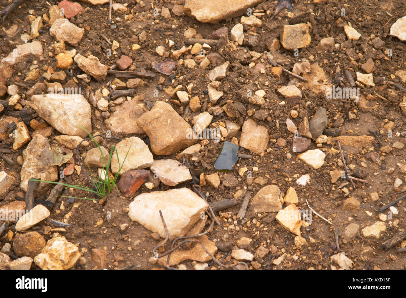 Soil detail. Stony. Sand. Calcareous. Domaine Philippe Livera, Gevrey ...