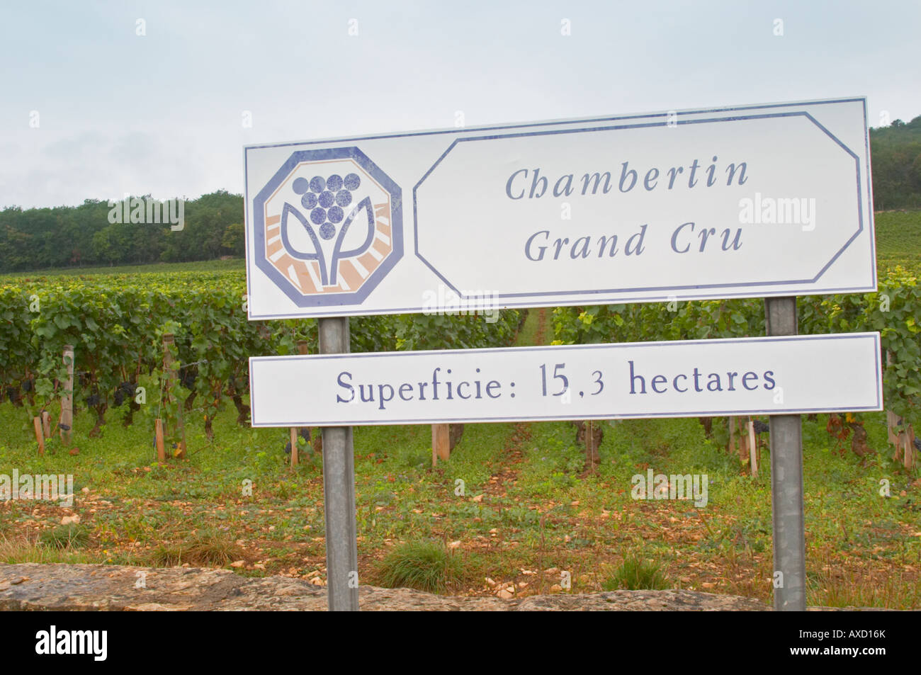 Gevrey chambertin vineyard hi-res stock photography and images - Alamy