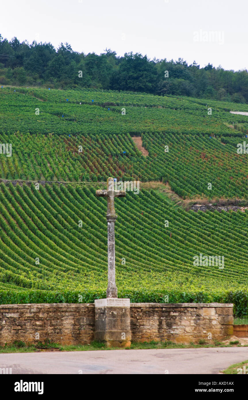 Vineyard. La Romanee Conti Grand Cru with stone cross. Vosne Romanee ...