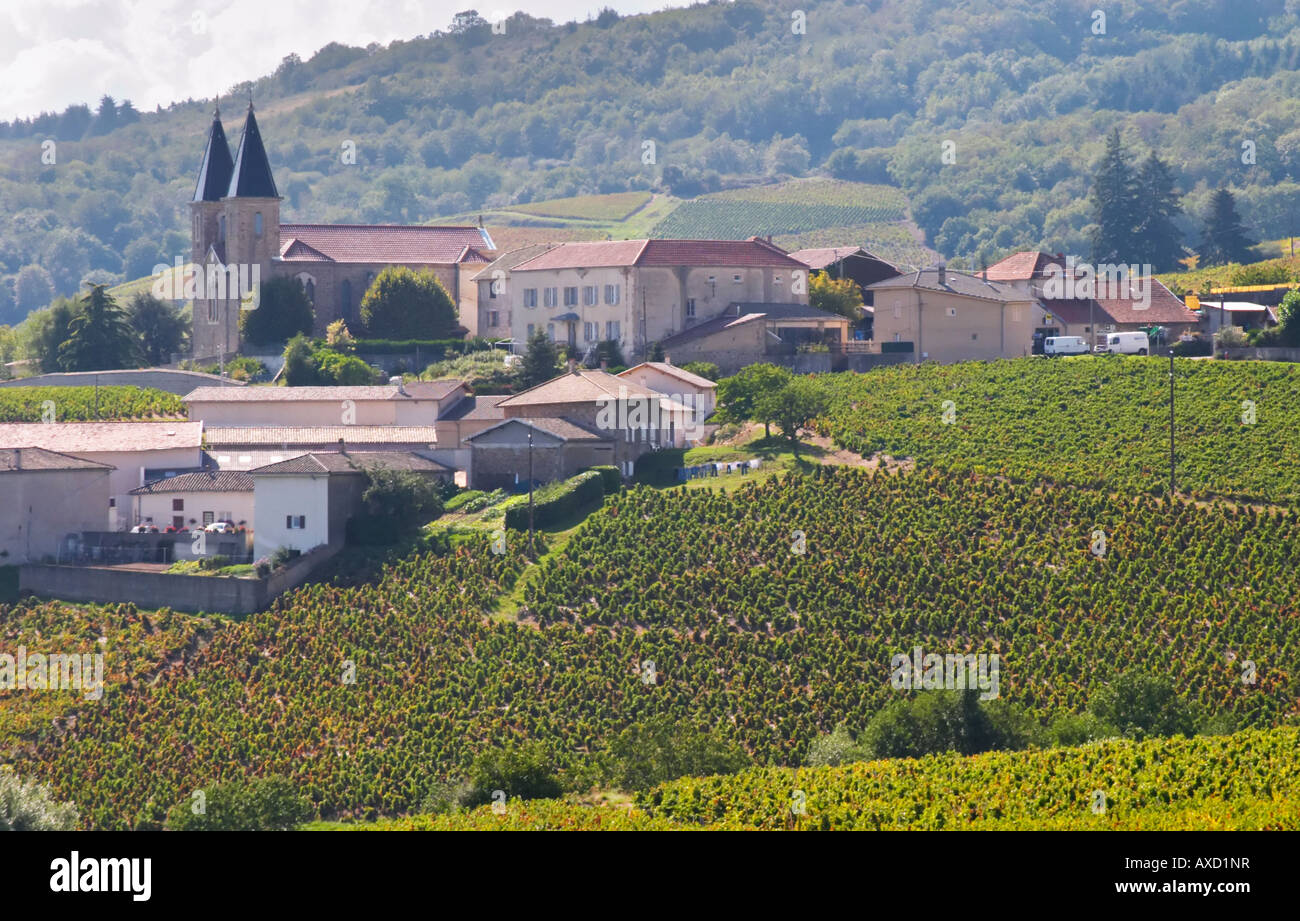 Vineyard. The village with church. saint joseph in Morgon, Beaujolais ...