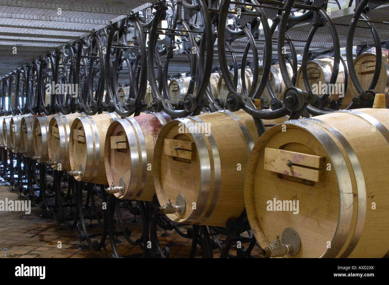 Fermentation in barrel. Oak barrel aging and fermentation cellar ...