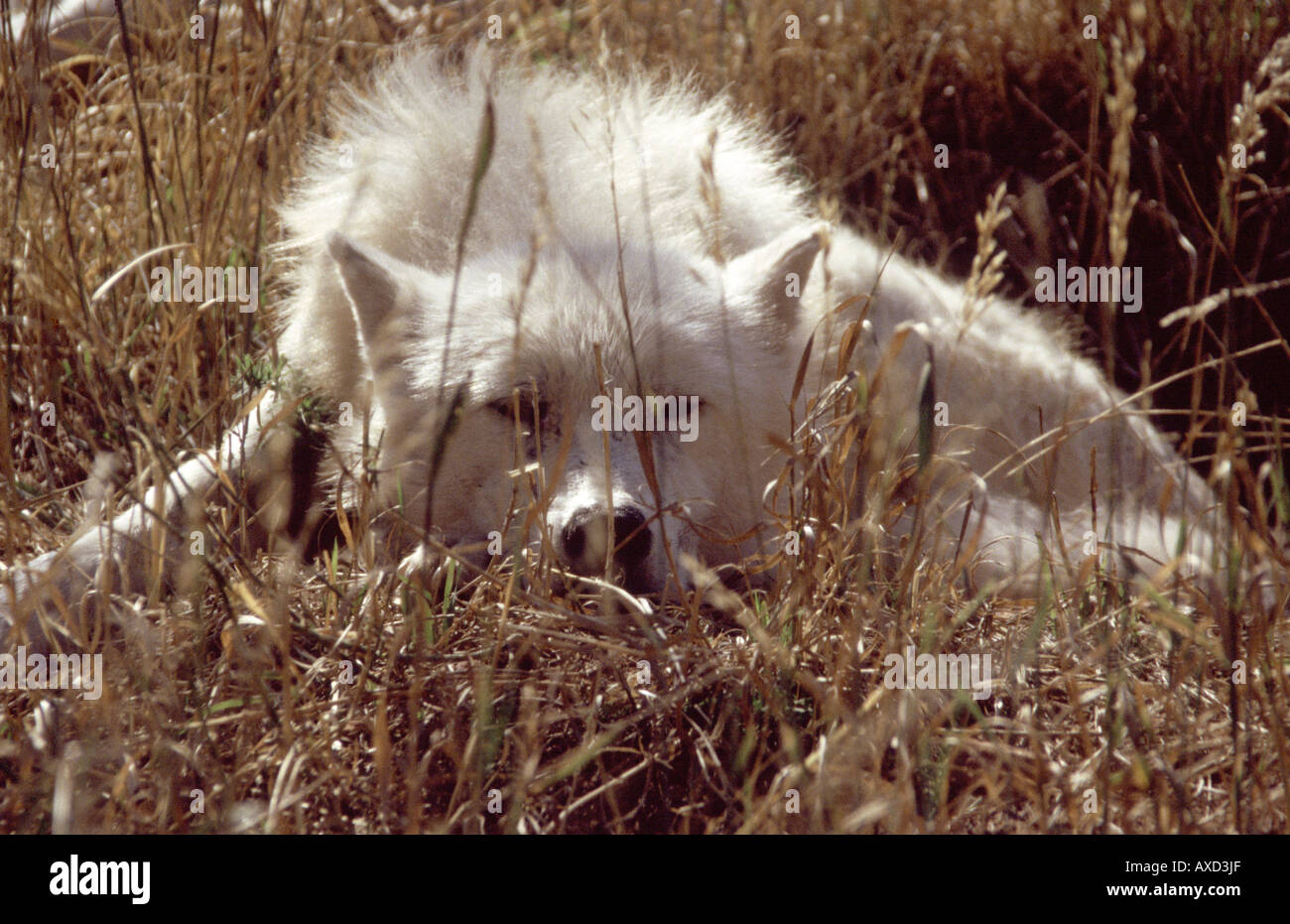 Drive thru the country hi-res stock photography and images - Alamy