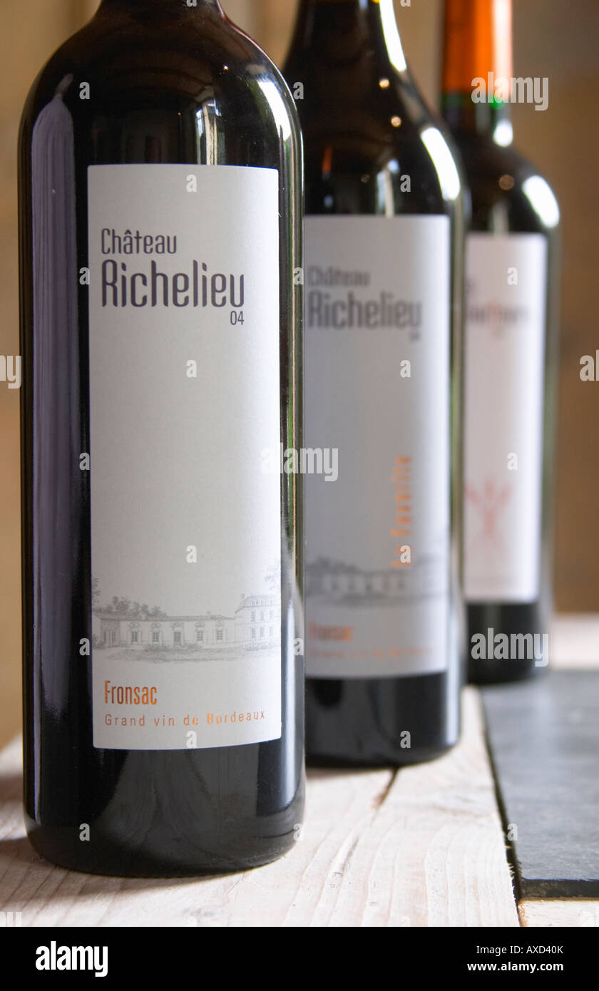 Chateau Richelieu, Fronsac, Bordeaux, France Stock Photo - Alamy