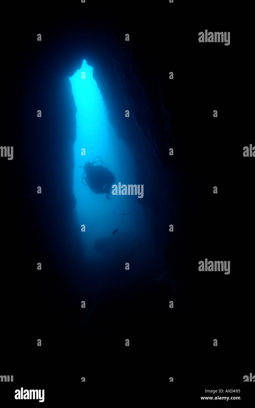 France Marseille Riou Island Imperial De Terre A Scuba Diver Swimming ...