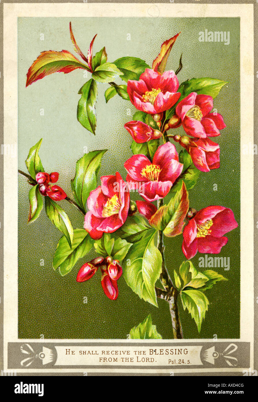 1880s Victorian Greetings Card Stock Photo - Alamy