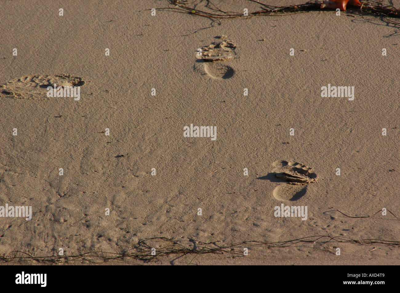 Footprints landscape hi-res stock photography and images - Alamy