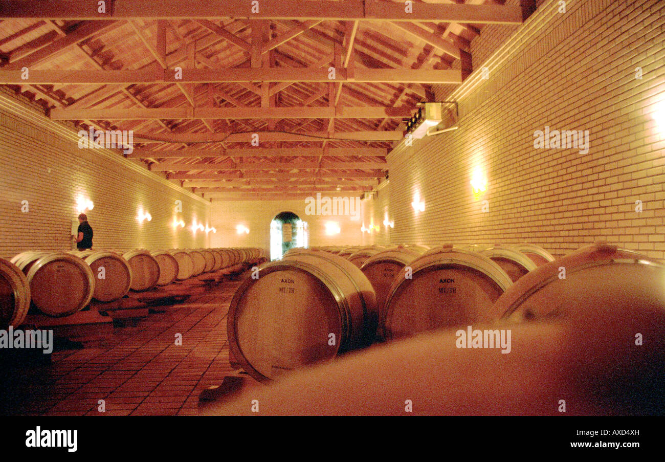 Oak barrel aging and fermentation cellar. The barrel cellar , chai ...