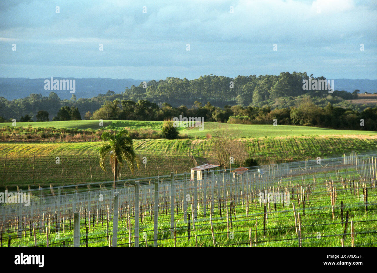 Serra gaucha brazil hi-res stock photography and images - Alamy