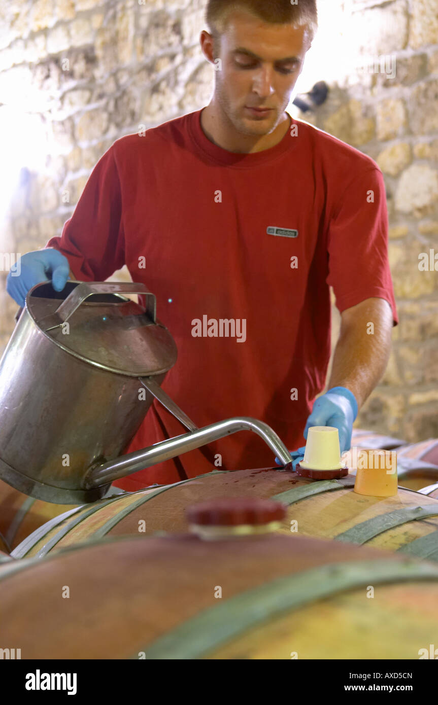 Topping up. Oak barrel aging and fermentation cellar. Chateau Brane ...