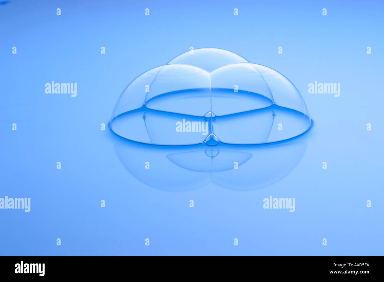 soap bubbles floating swimming on water surface Stock Photo - Alamy