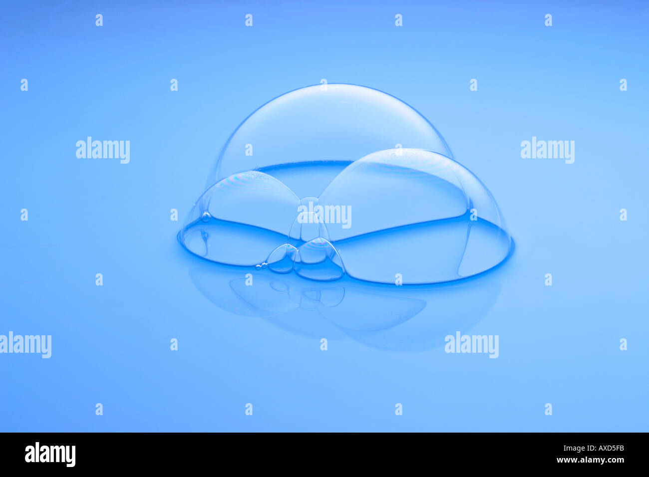 soap bubbles floating swimming on water surface Stock Photo - Alamy