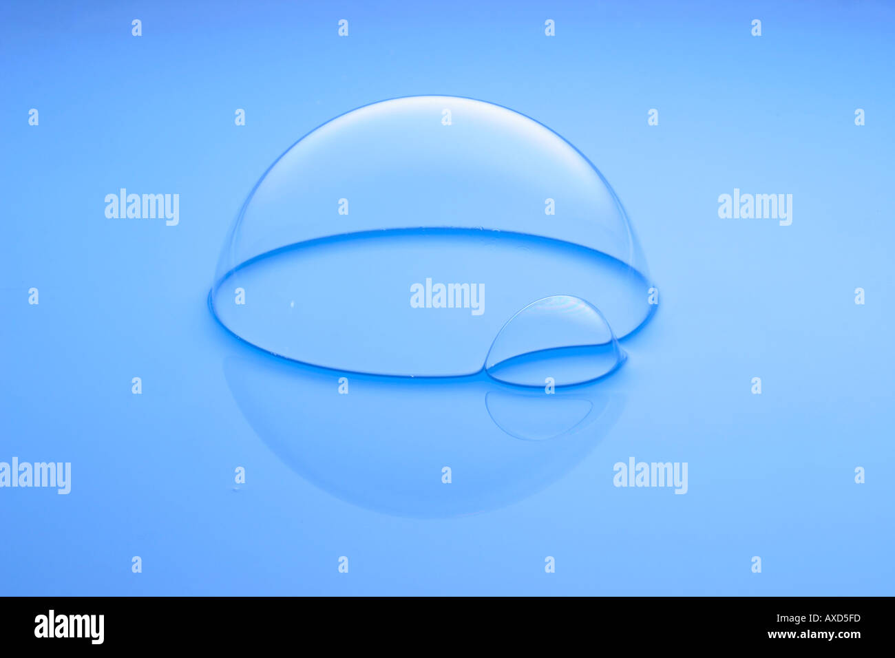 soap bubbles floating swimming on water surface Stock Photo - Alamy