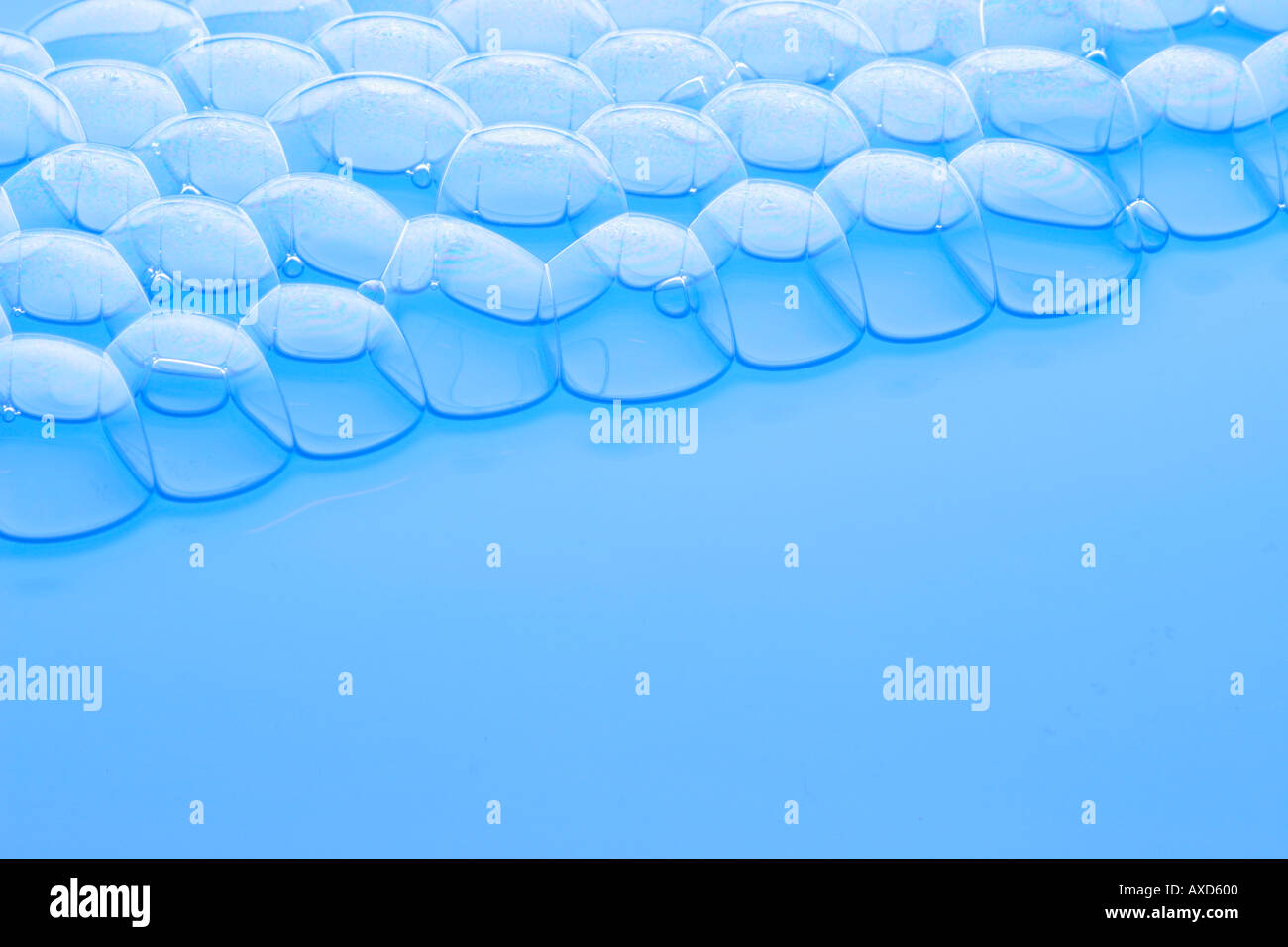 soap bubbles floating swimming on water surface Stock Photo - Alamy