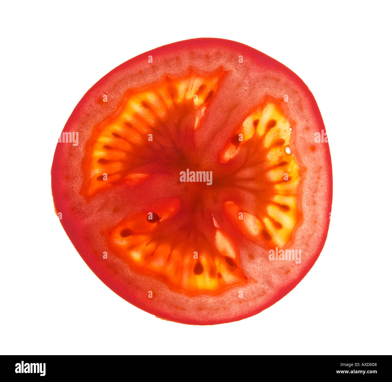 Single Tomato slice on white background Stock Photo - Alamy