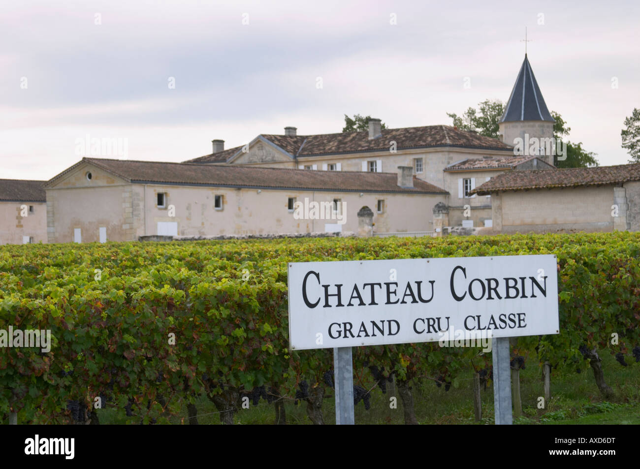 Vineyard. Winery building. Chateau Corbin. Saint Emilion, Bordeaux ...