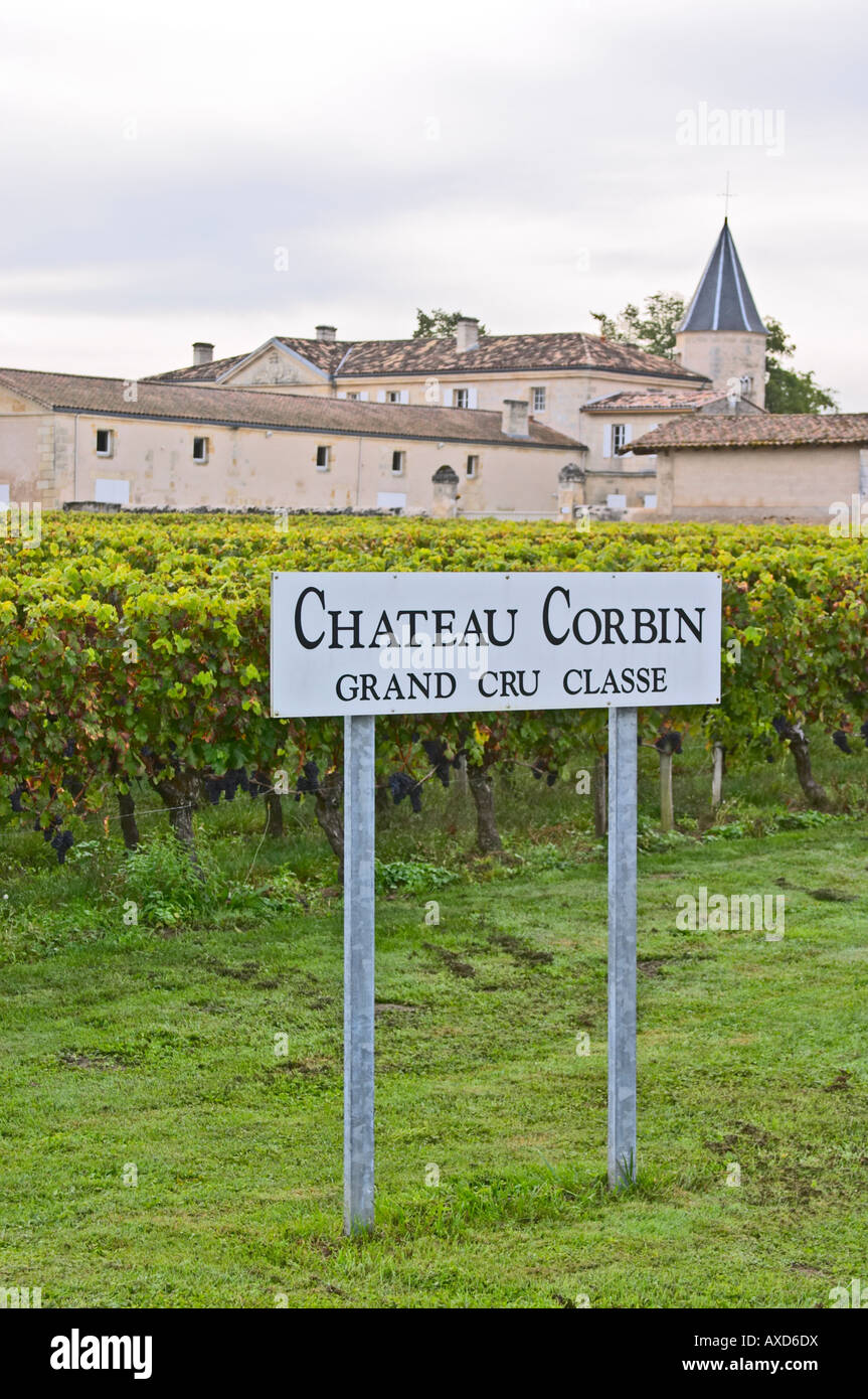 Vineyard. Winery building. Chateau Corbin. Saint Emilion, Bordeaux ...
