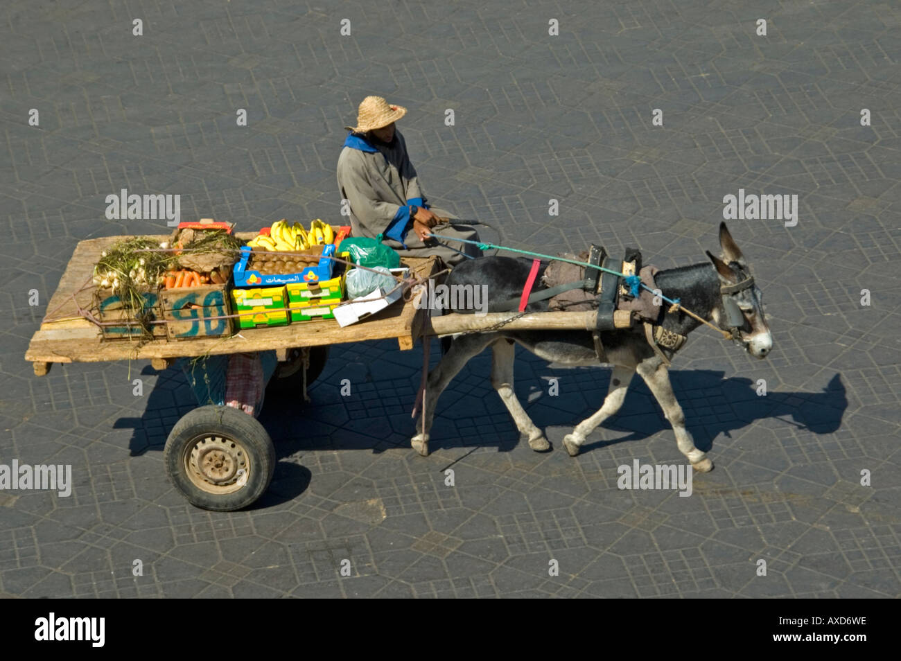 Horizontal elevated view of a donkey and cart trotting through Place ...