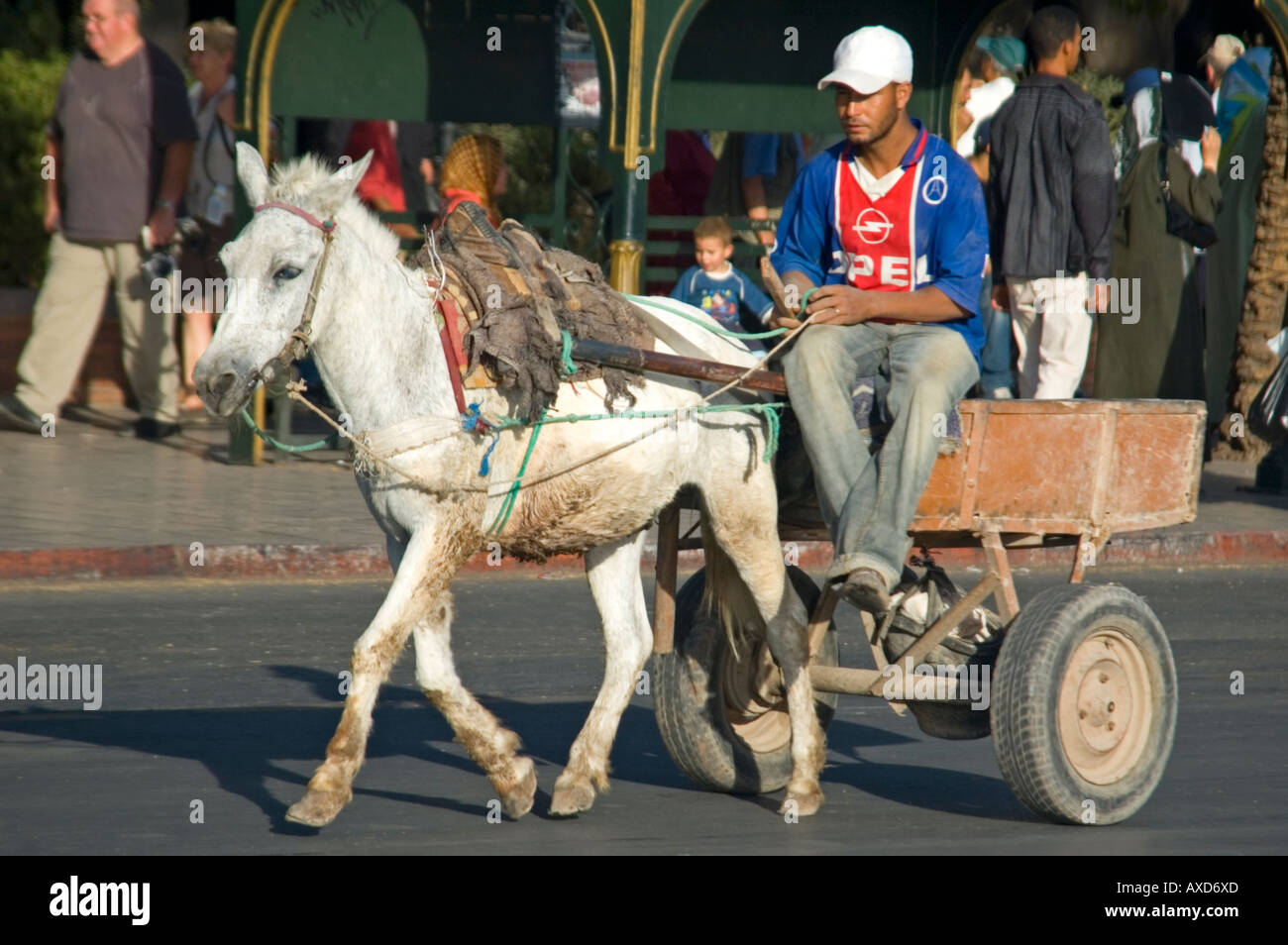 Horizontal streetscene of a donkey and cart trotting through the ...