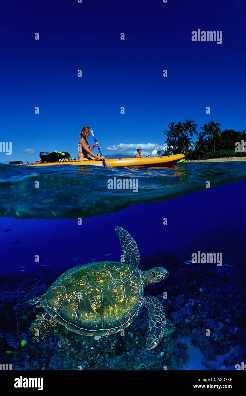 Hawaii kayak turtle hi-res stock photography and images - Alamy