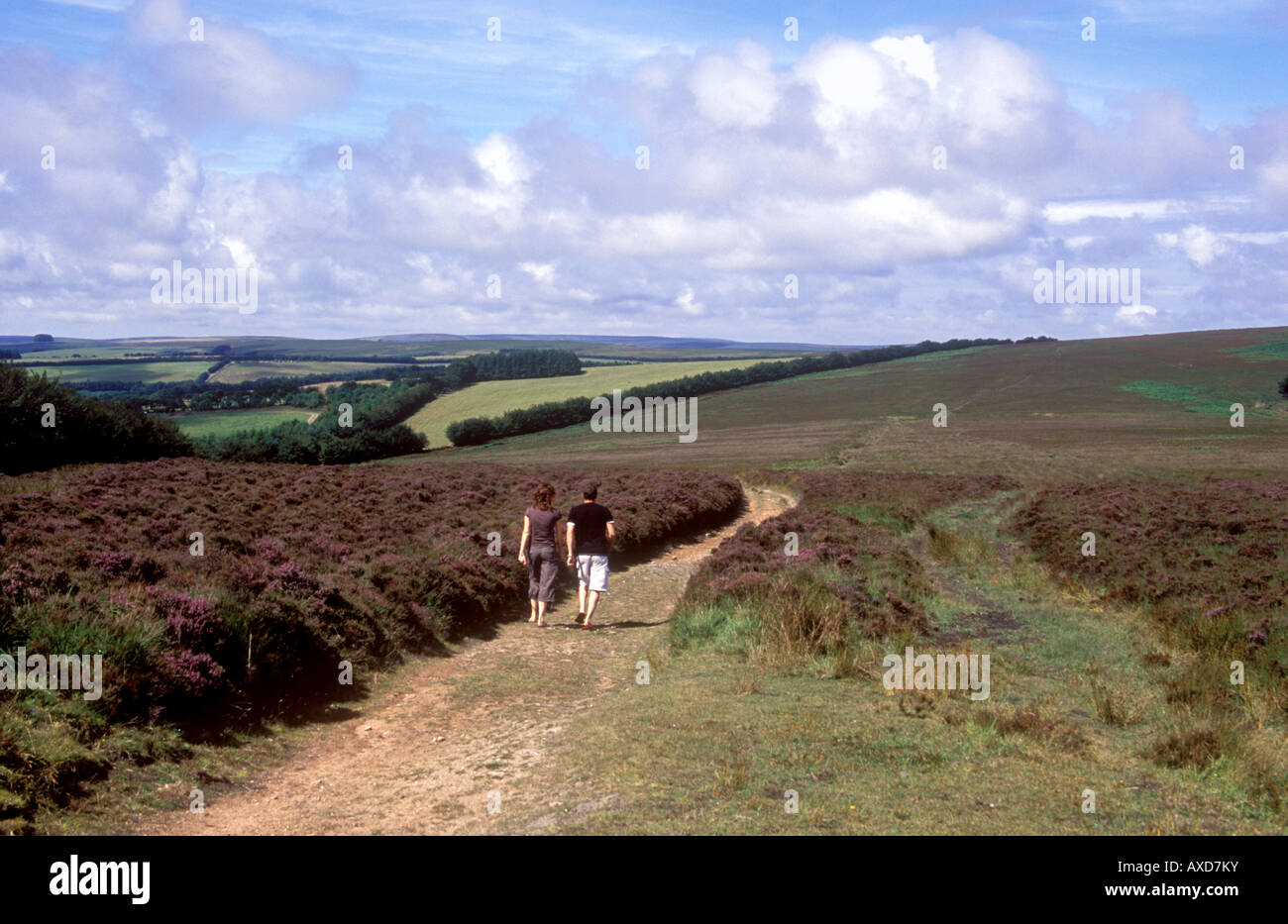 Walking on Exmoor near the village of Exford Stock Photo - Alamy