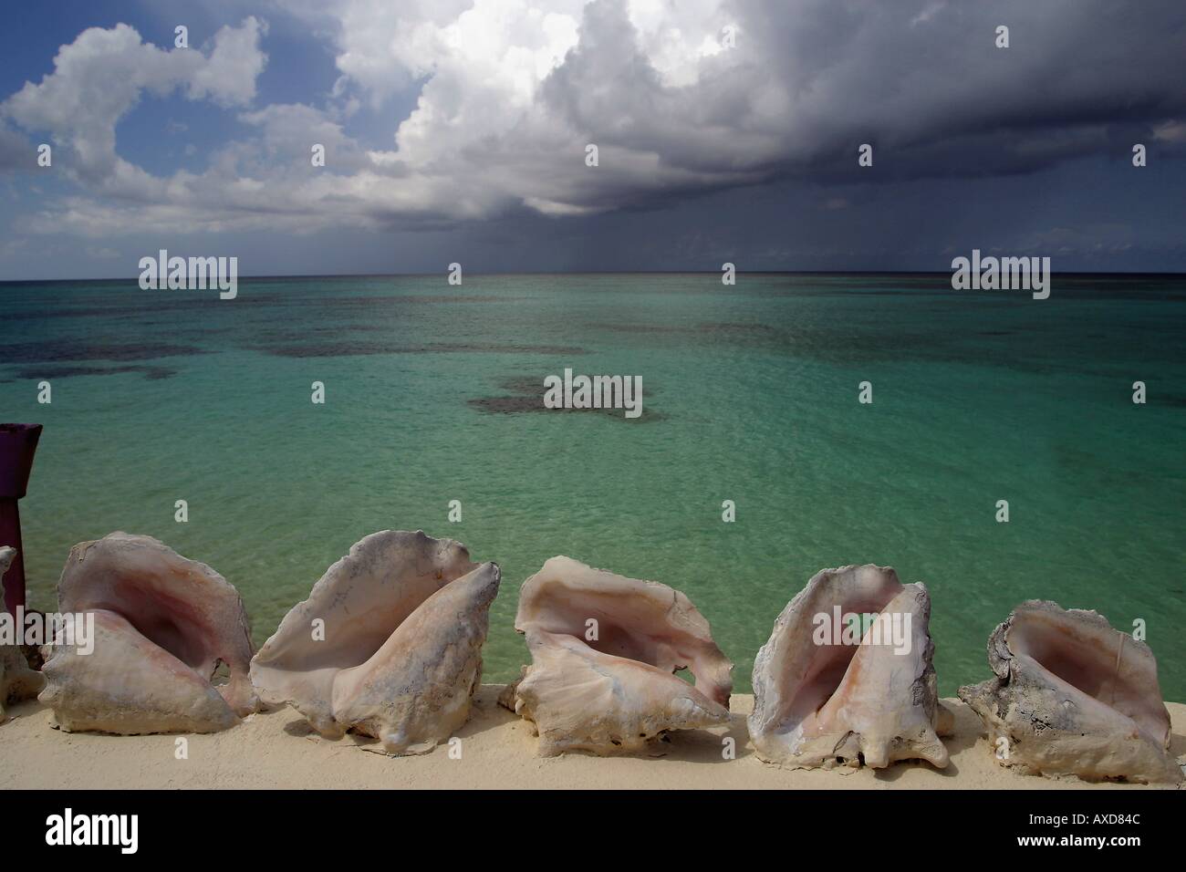 Conch shells are incorporated into concrete construction in the ...