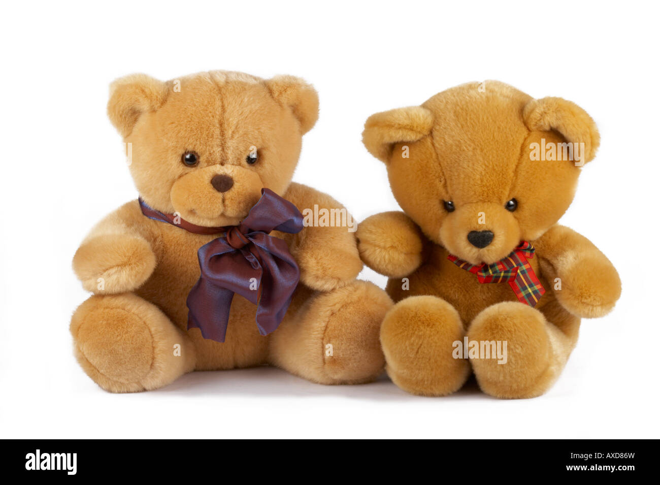 Two teddy bears sitting up Stock Photo - Alamy