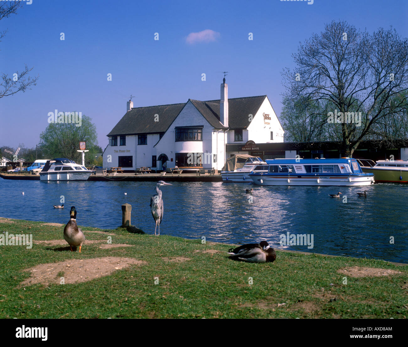 The Ferry Inn on the Norfolk Broads at Horning Stock Photo - Alamy