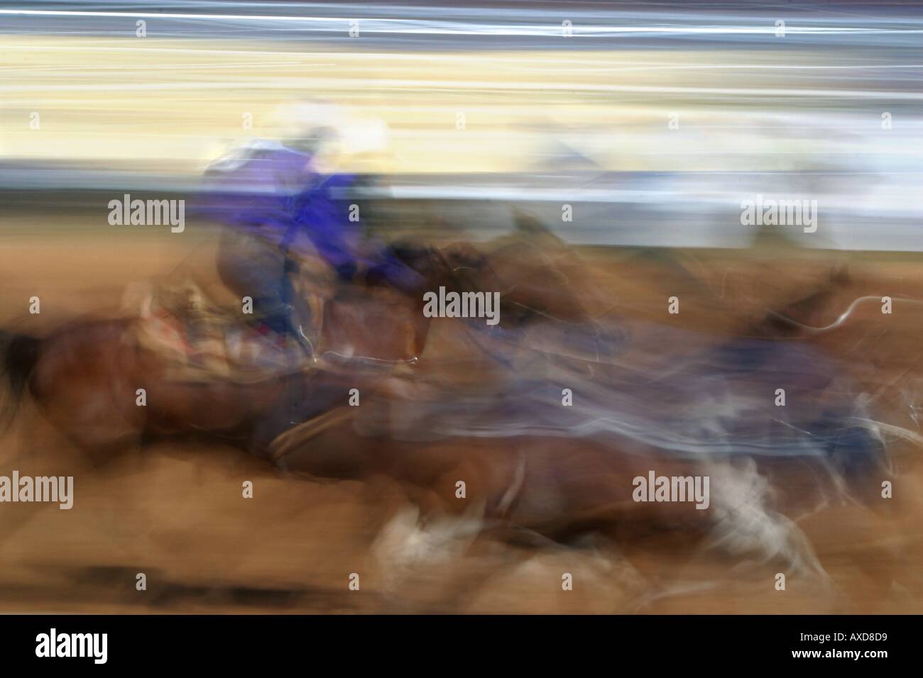 Maui hawaii cowboys hi-res stock photography and images - Alamy