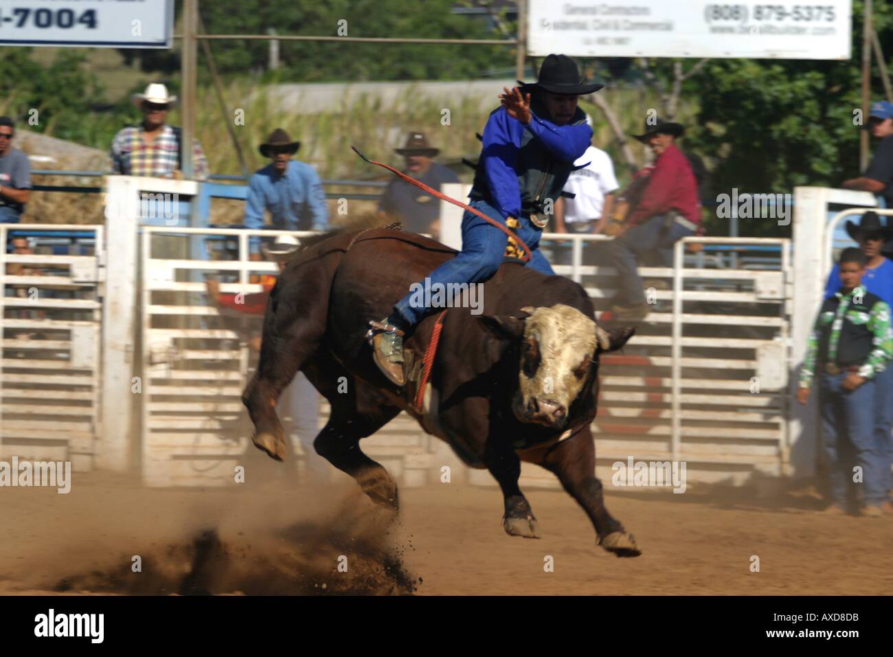 Makawao rodeo hi-res stock photography and images - Alamy