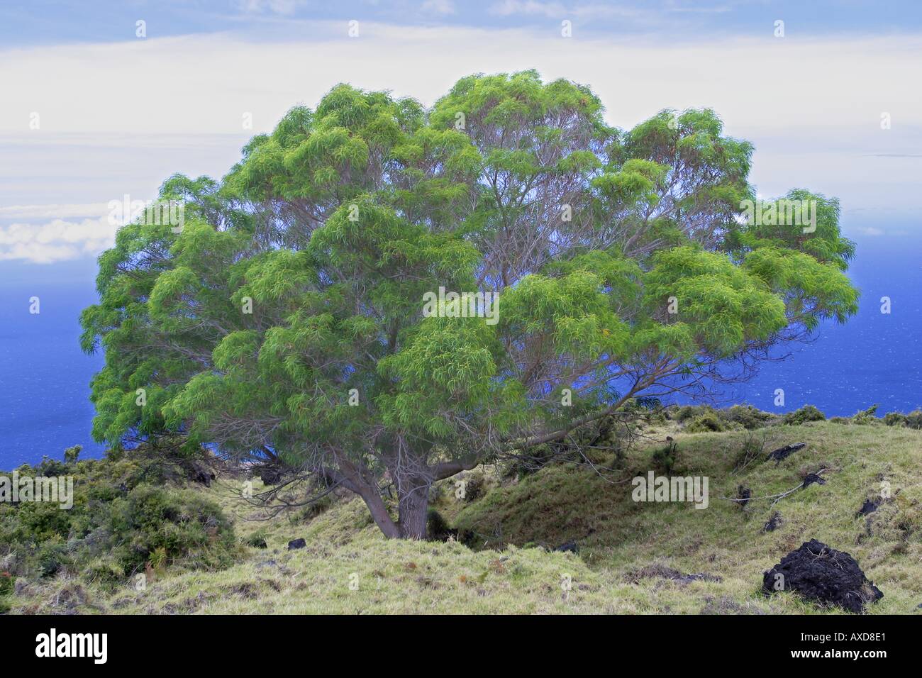 Kaupo ranch hi-res stock photography and images - Alamy