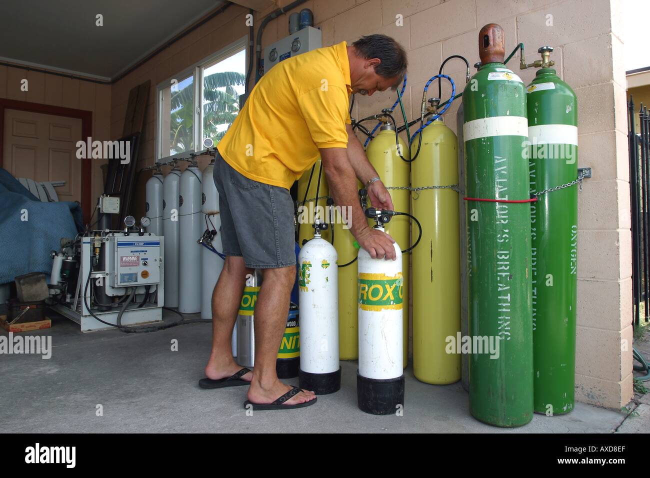 A staff member MR fills a nitrox tank at a nitrox blending fill station ...