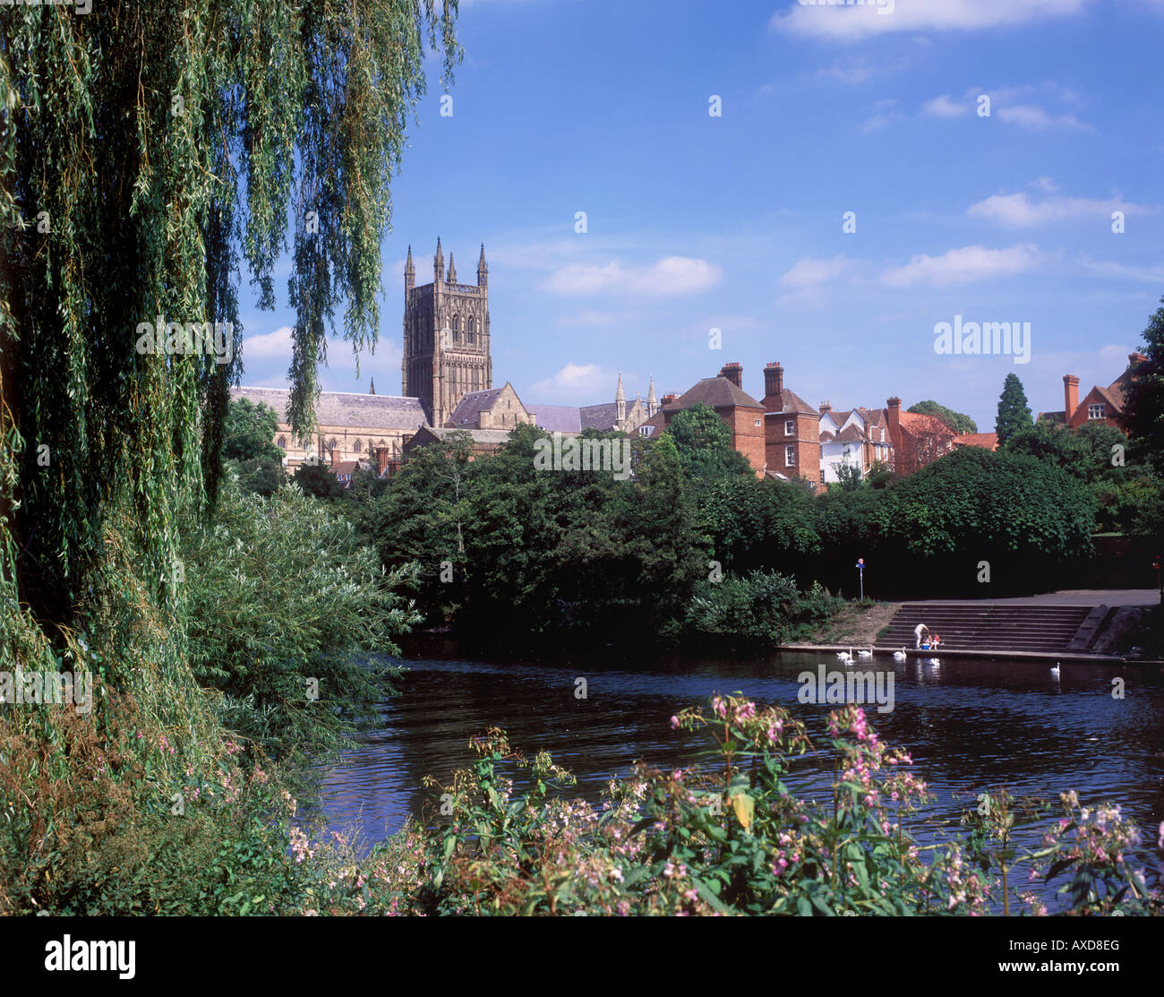 View of Worcester Cathedral from across the River Severn Stock Photo ...