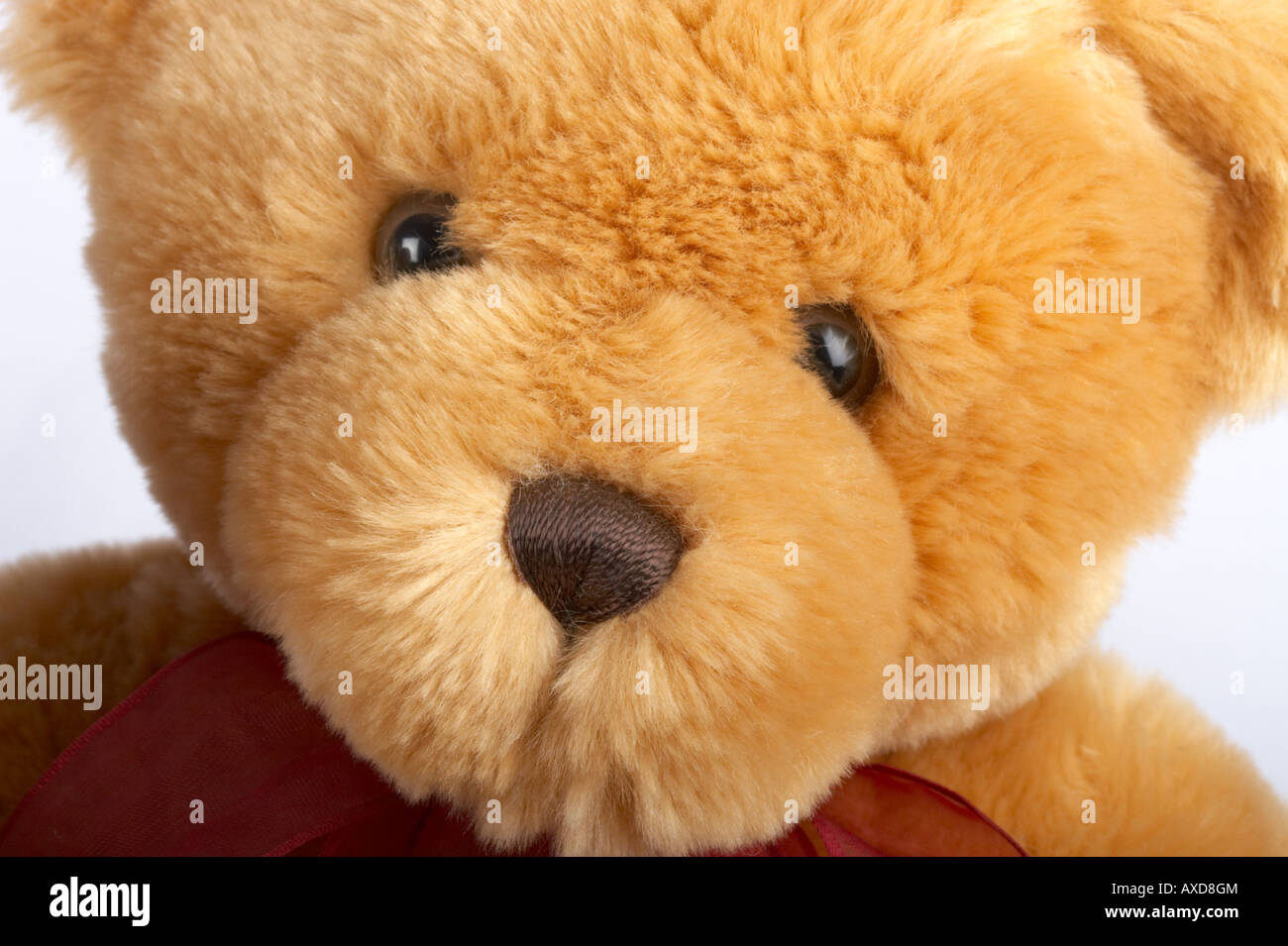 Teddy bear face Stock Photo - Alamy