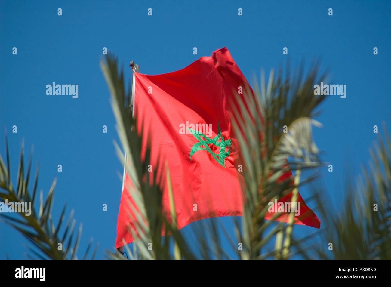 Horizontal close up of the bright red national flag of Morocco behind ...