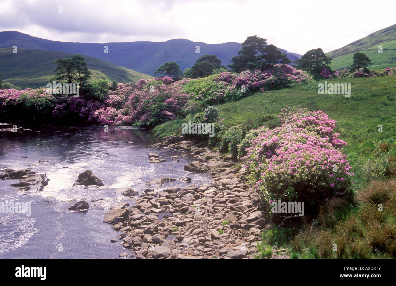 Aasleagh falls mayo ireland hi-res stock photography and images - Alamy
