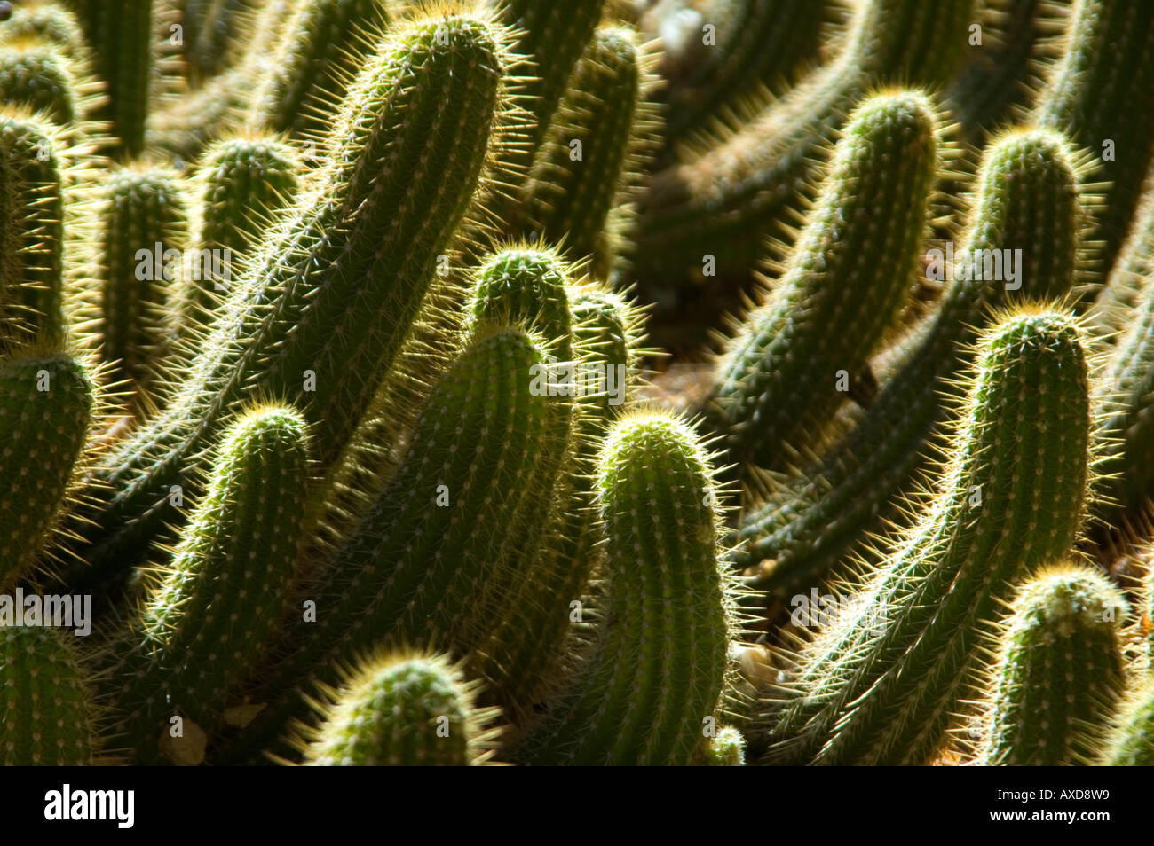 Tubular forms hi-res stock photography and images - Alamy