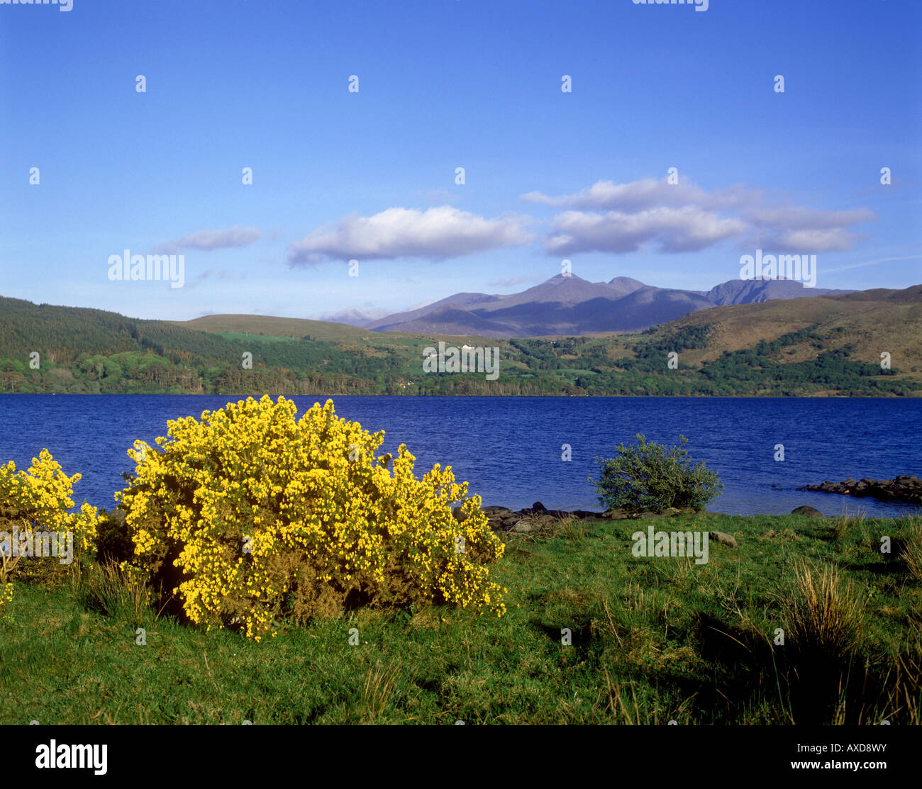 View of Carrantuohill, Ireland's highest mountain seen from across ...