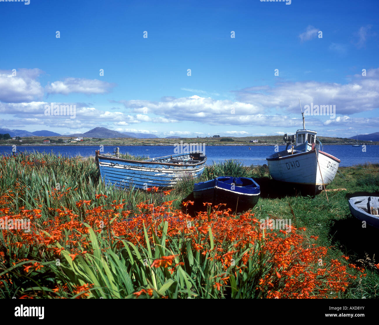 Connemara - Picturesque scene on Roundstone Bay Stock Photo - Alamy
