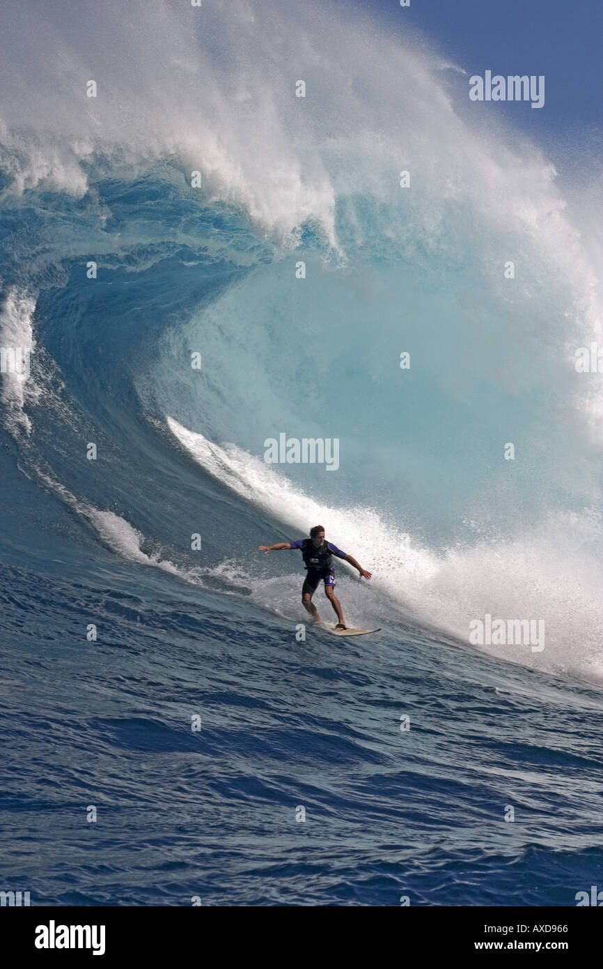 L10297 hi-res stock photography and images - Alamy